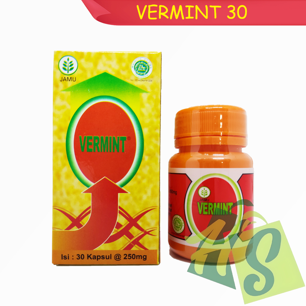 Jual Vermint 30 kapsul obat Tifus atau Tipes Asli dan Original | Shopee ...