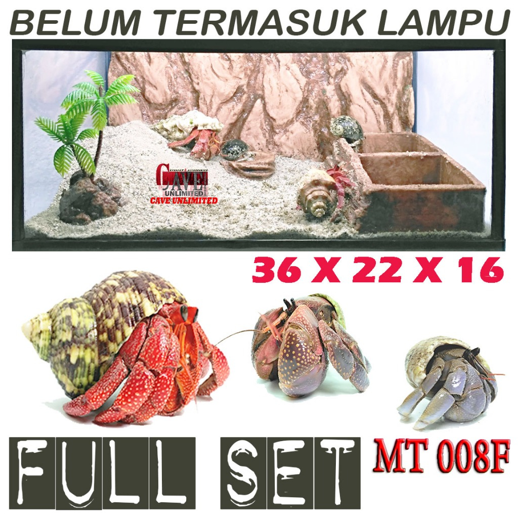 Jual MT008F FULLSET TERRARIUM CRUSTACEA HERMIT CRAB KELOMANG UMANG POMPONGAN TERARIUM AQUARIUM ...