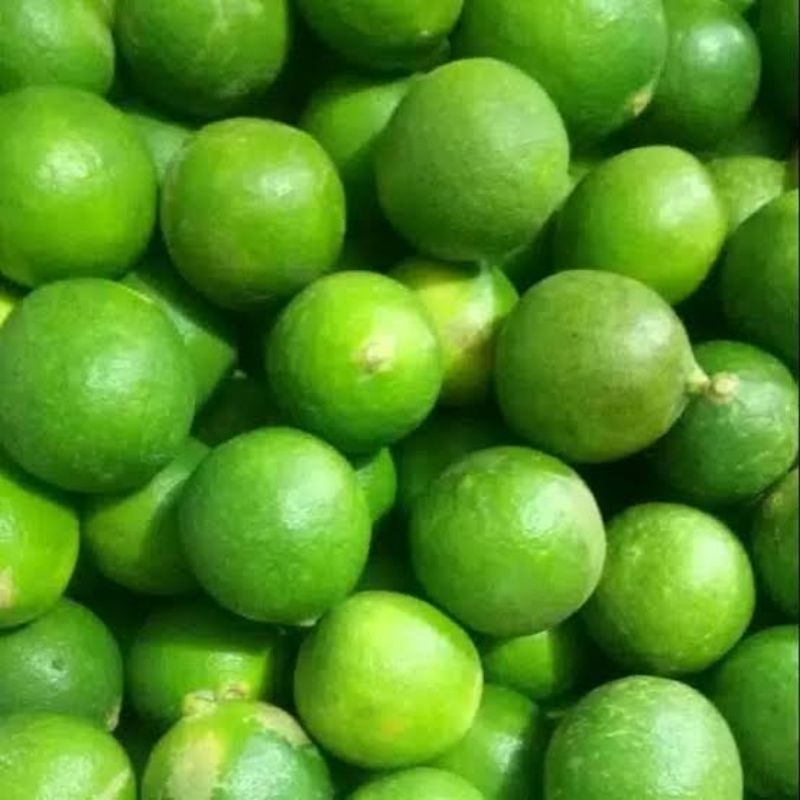 Jual JERUK NIPIS 1 kg | Shopee Indonesia