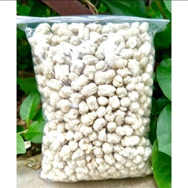 Jual Pilus cikur 1kg | Shopee Indonesia