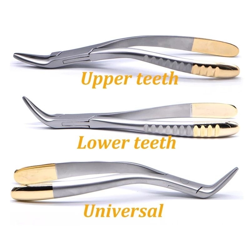 Jual Dental Forceps Tooth Extracting / Dental Tang | Shopee Indonesia