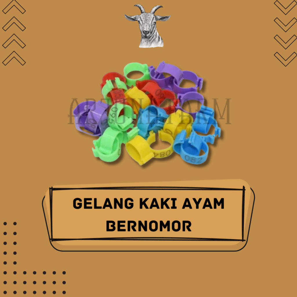 Jual Gelang Jepit Kaki ayam/ring kaki ayam ukuran 20mm 10bh - dengan ...