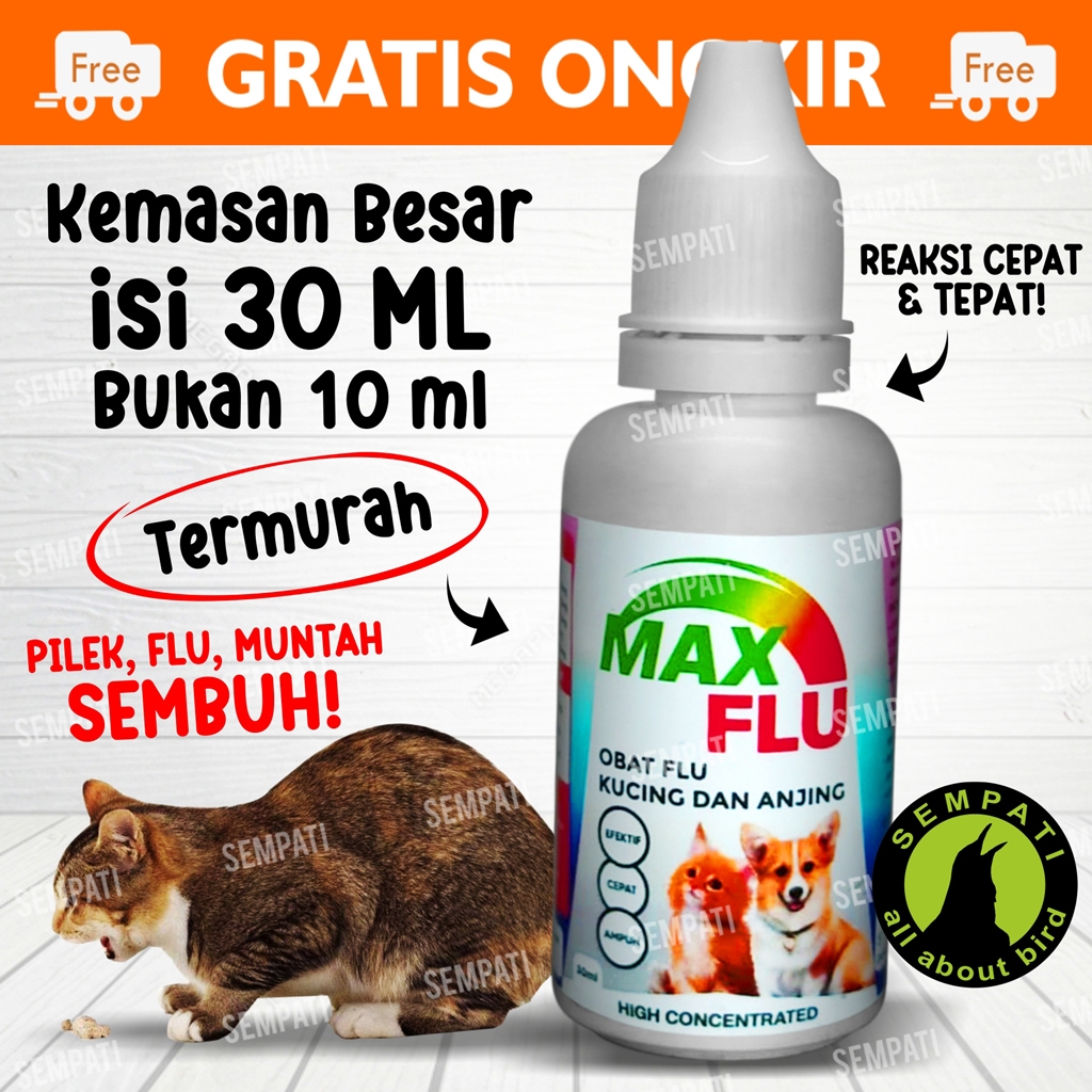Jual Max Flu 30ml Obat Flu Batuk Pilek Kucing Anjing Cat Dog Kitten ...