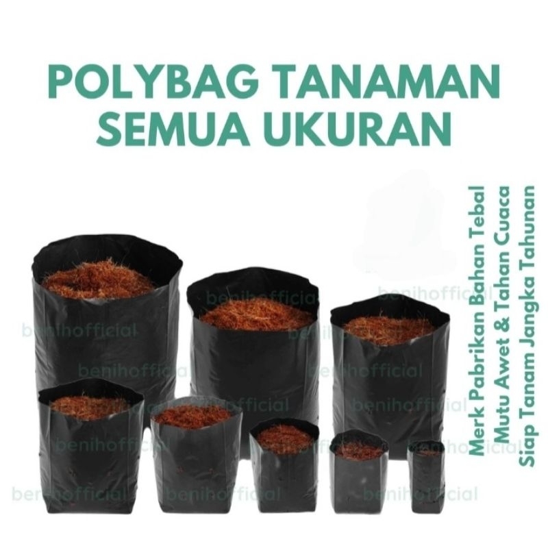 Jual POLIBEG ECERAN HARGA / LEMBAR | Shopee Indonesia
