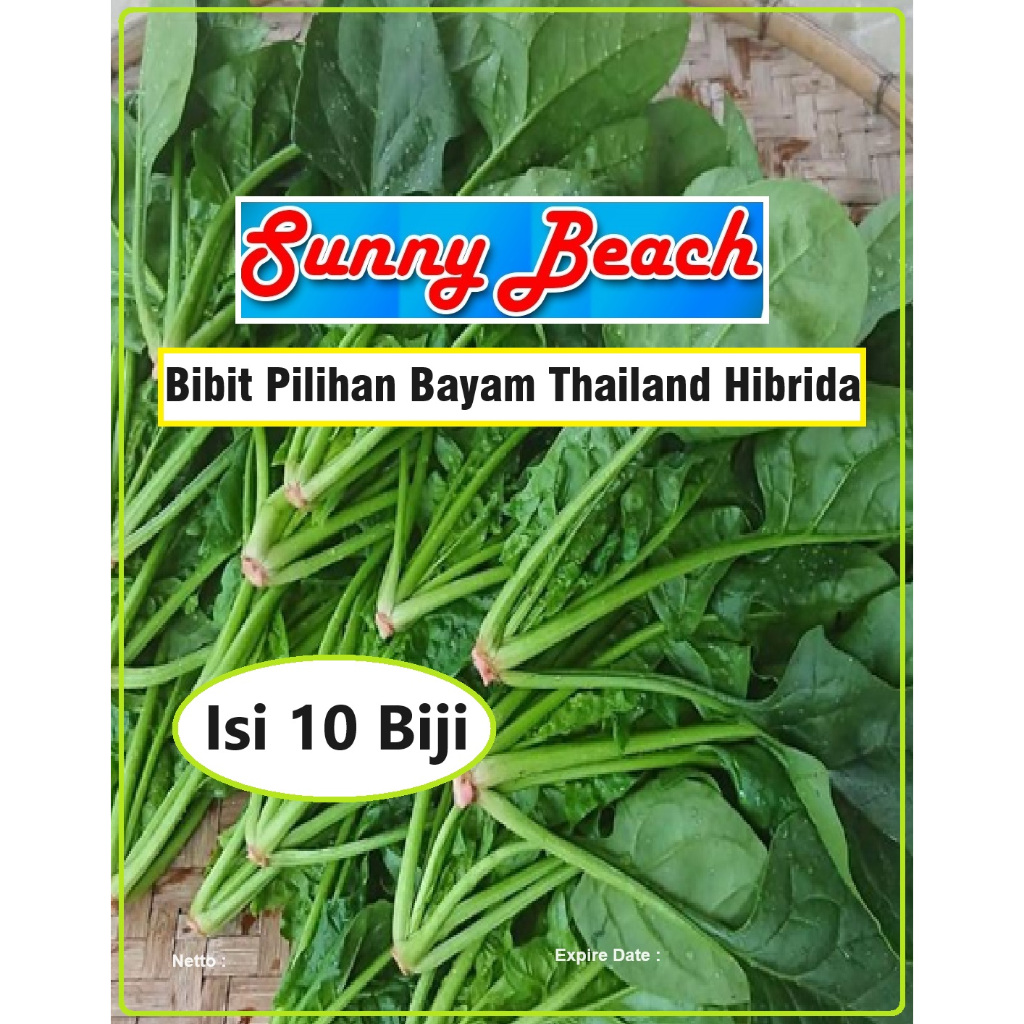 Jual Bibit Pilihan Bayam Thailand Hibrida|Biji Benih Bayam Thailand ...