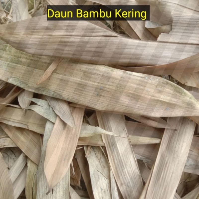 Jual Daun bambu kering harga perbiji | Shopee Indonesia