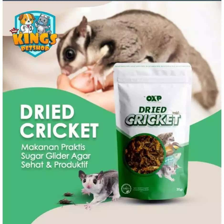 Jual OXP DRIED CRICKET 35GR / Makanan Untuk Hewan Kecil / Sugar Glider ...