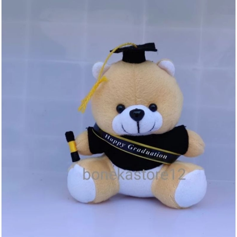 Jual BONEKA WISUDA GRADUATION TAMAT SD SMP SMA KULIAH | Shopee Indonesia