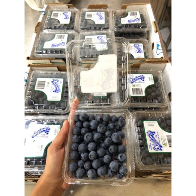 Jual LANGSUNG KIRIM buah blueberry blueberries import aussie per pack ...