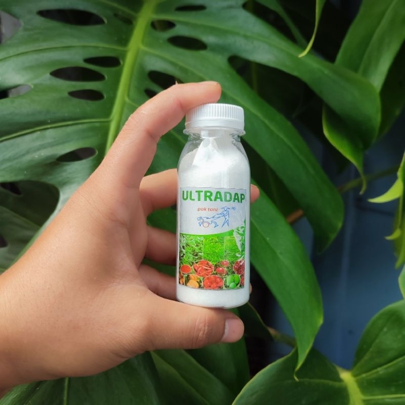 Jual ULTRADAP PAKTANI PUPUK MONO AMMONIUM PHOSPHATE REPACK 100 GRAM ...