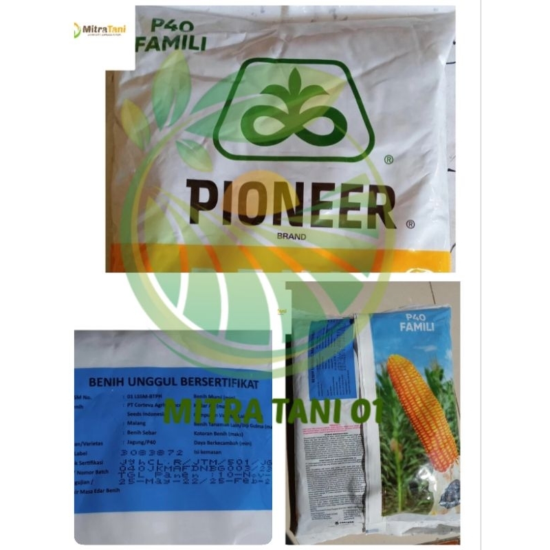 Jual Benih Jagung Pioneer p40 family | Shopee Indonesia
