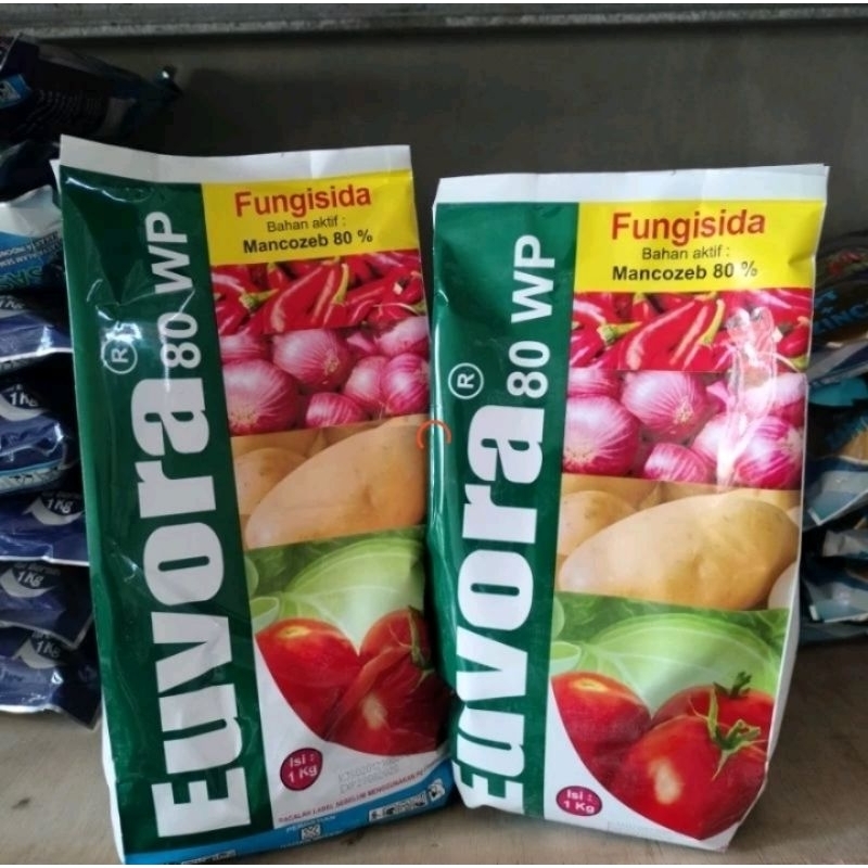 Jual Fungisida Euvora 80WP 1Kg untuk mengendalikan Busuk akar Dan Buah ...