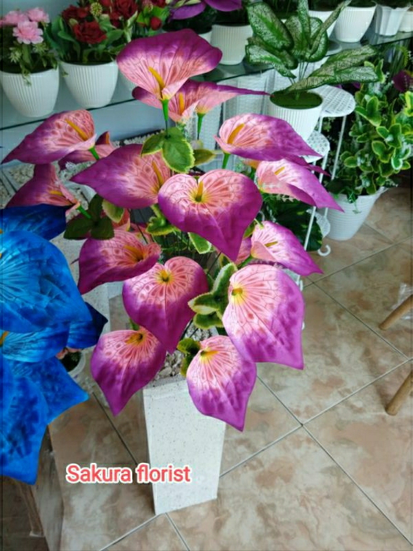 Jual BUNGA SUDUT LILY | Shopee Indonesia