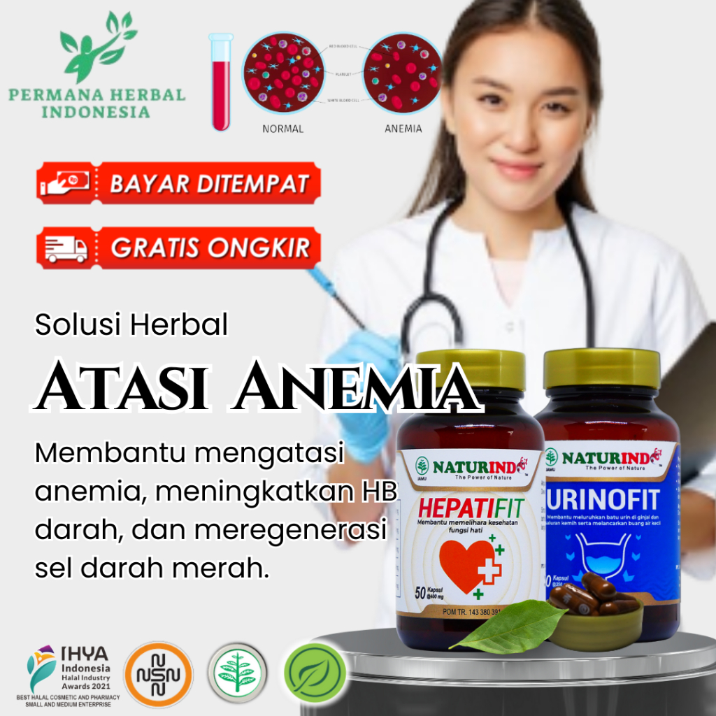 Jual Obat Penambah Darah Anemia Kurang Hemoglobin Rendah Tambah Darah ...