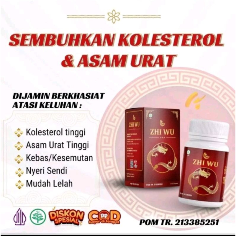 Jual Zhi Wu Obat Herbal Asam Urat Rematik - Hilangkan Nyeri sendi ...