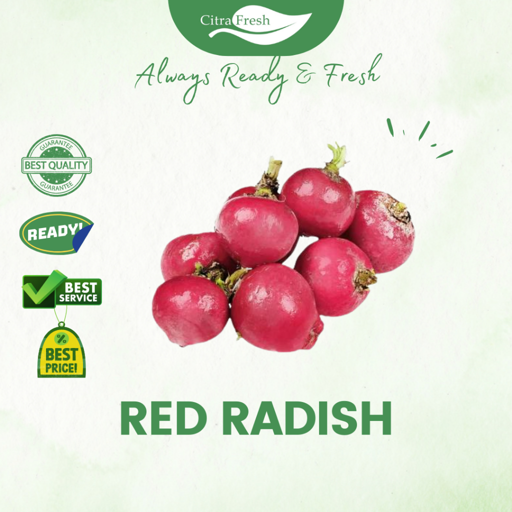 Jual CITRA FRESH - Red Radish 250 Gram - Selalu Ready dan Fresh ...