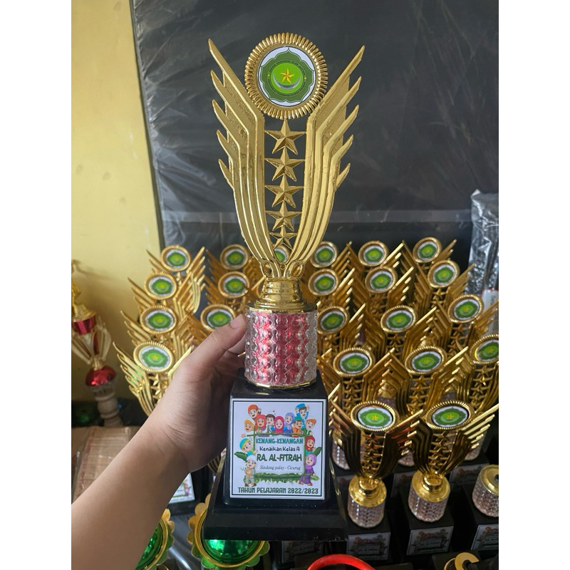 Jual piala kenang-kenangan sekolah satuan body briket FREE STICKER ...