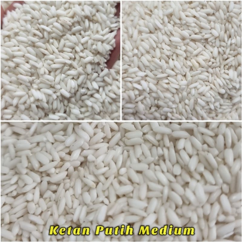 Jual Ketan Putih Medium 2 KG Beras Ketan Original - Bambu Wangi | Shopee Indonesia