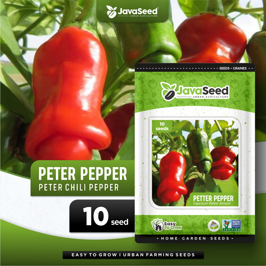 Jual JAVASEED - Benih Cabai Hias Peter Pepper Cabe Hias Peter 5 Benih ...