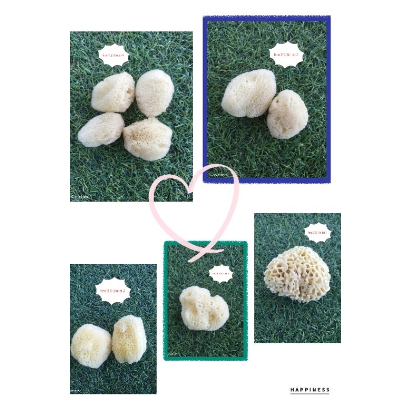 Jual Sea Sponge/Spon Laut Natural Kerajinan/Hiasan ASLI (BACA DESKRIPSI ...
