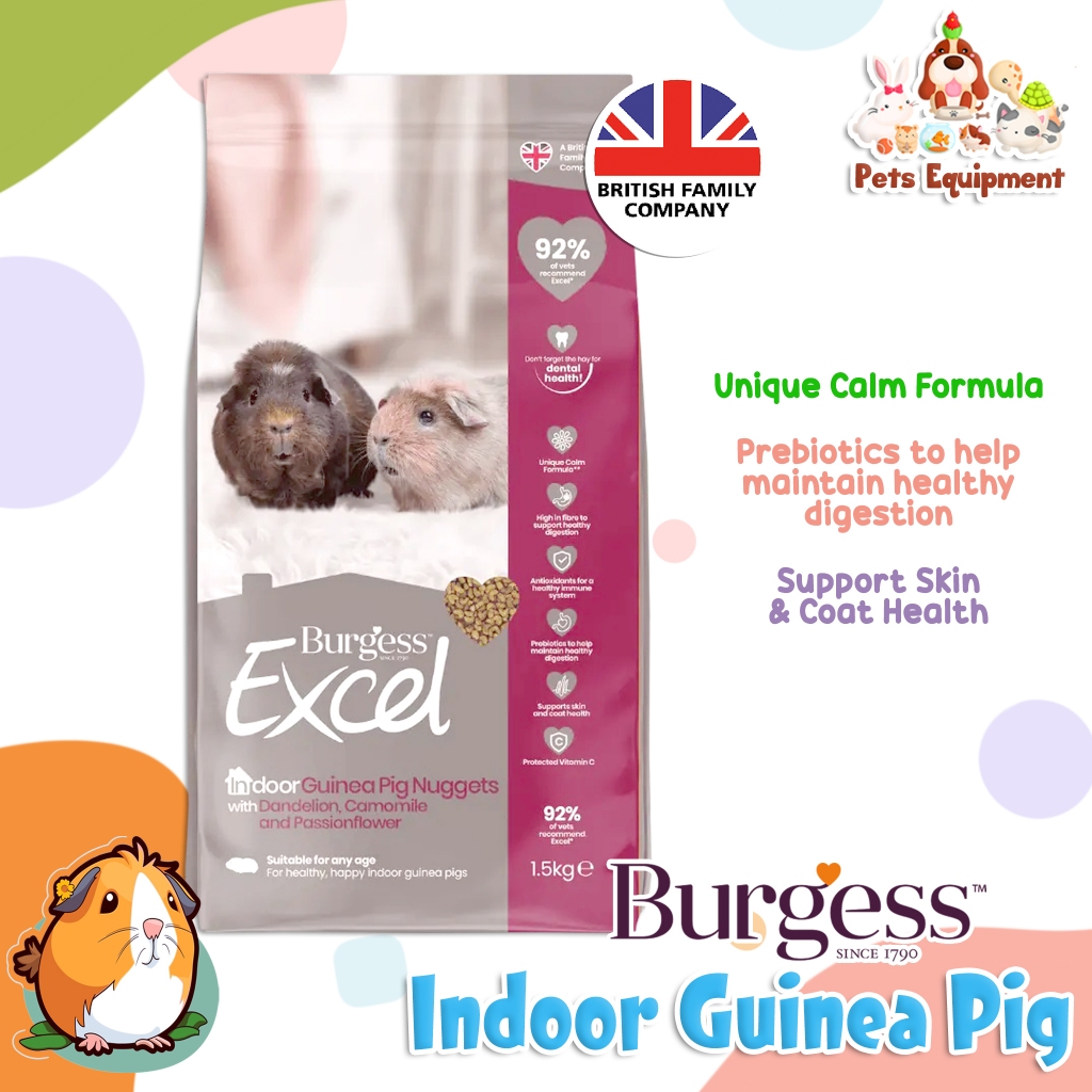 Jual BURGESS EXCEL INDOOR GUINEA PIG / PELLET GP / Makanan guinea pig ...