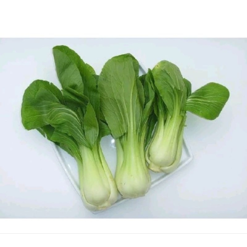 Jual Sawi Pakcoy /sawi Pokcoy / Sawi sendok 1/2kg | Shopee Indonesia