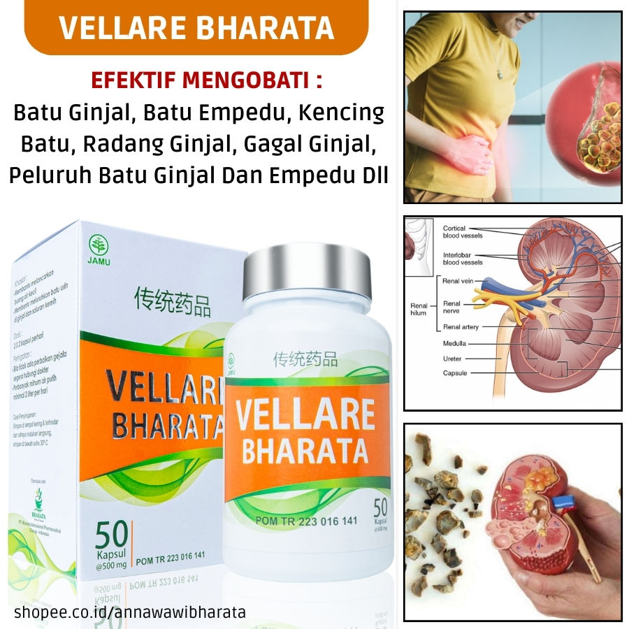Jual Obat Batu Empedu Kencing Batu Batu Ginjal Sakit Kencing Penghancur ... Jual Obat Batu Empedu Kencing Batu Batu Ginjal Sakit Kencing Penghancur ...
