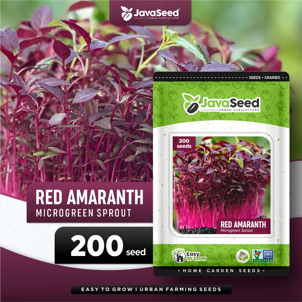 Jual JAVASEED - Benih Microgreen Red Amaranth Sprout Spinach 200 Benih ...