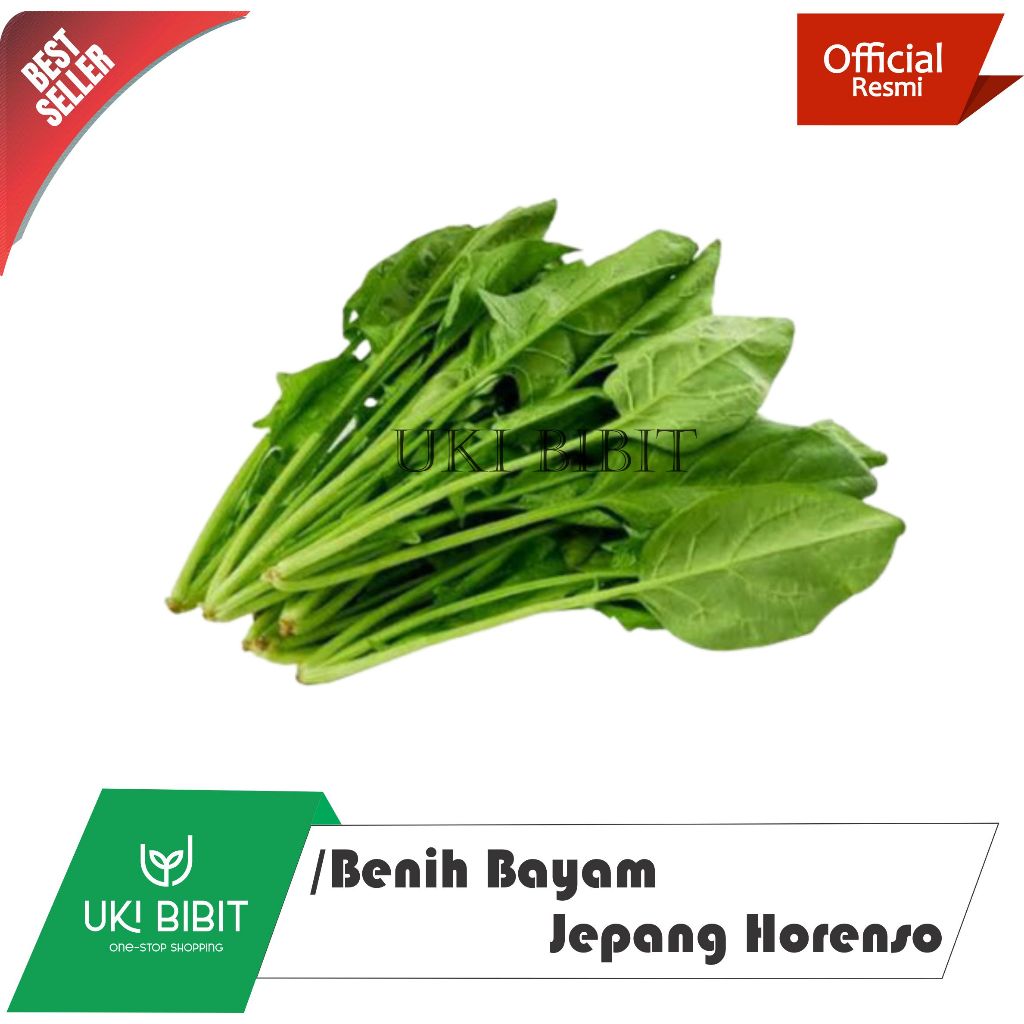 Jual ( 20 Butir ) Benih Biji Bayam Jepang Horenso | Spinach | Shopee ...