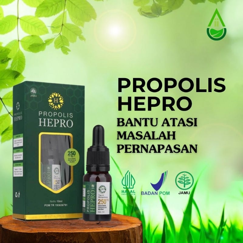Jual PROPOLIS HEPRO TRIGONA ASLI INDONESIA ORIGINAL 100% DISTRIBUTOR ...