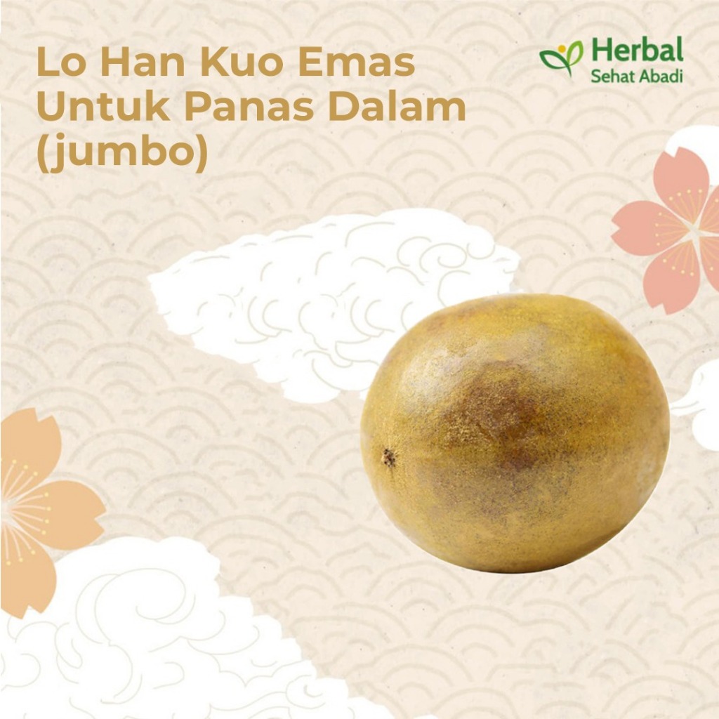 Jual Lo Han Kuo Emas untuk Panas Dalam ( Ukuran Jumbo ) | Shopee Indonesia