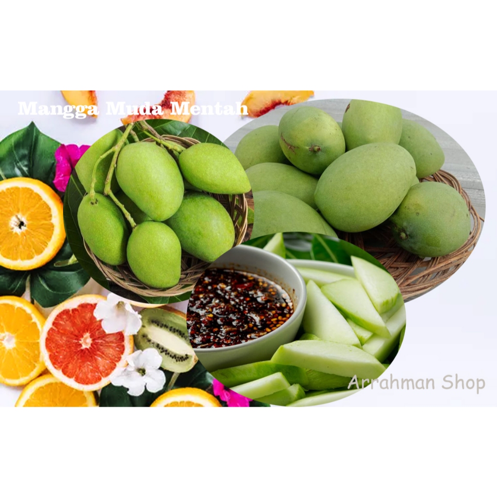 Jual Mangga muda - mangga muda untuk rujak mangga muda mentah | Shopee ...