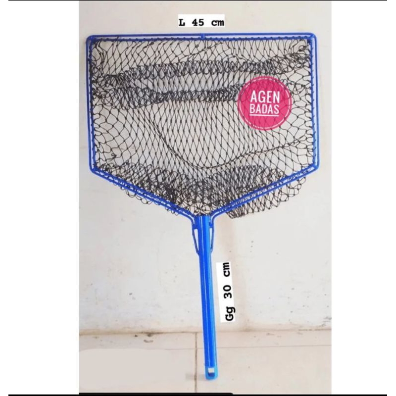 Jual Serok ikan besar.Serok ikan Segilima komsumsi.Serok ikan panen ...