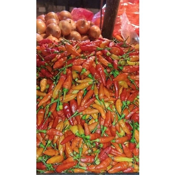 Jual cabai/cabe rawit merah berat 500grm | Shopee Indonesia