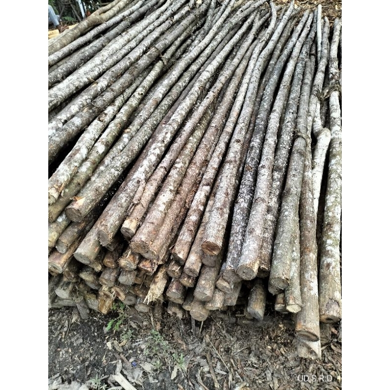 Jual kayu dolken stger u/DM 5,6 cm | Shopee Indonesia