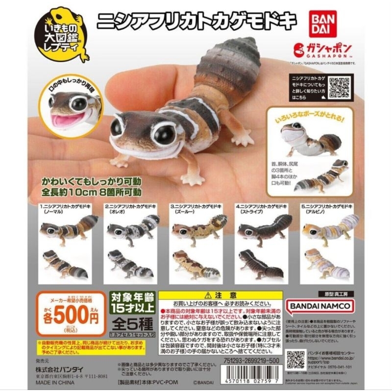 Jual gashapon gacha afrikan gecko bandai | Shopee Indonesia