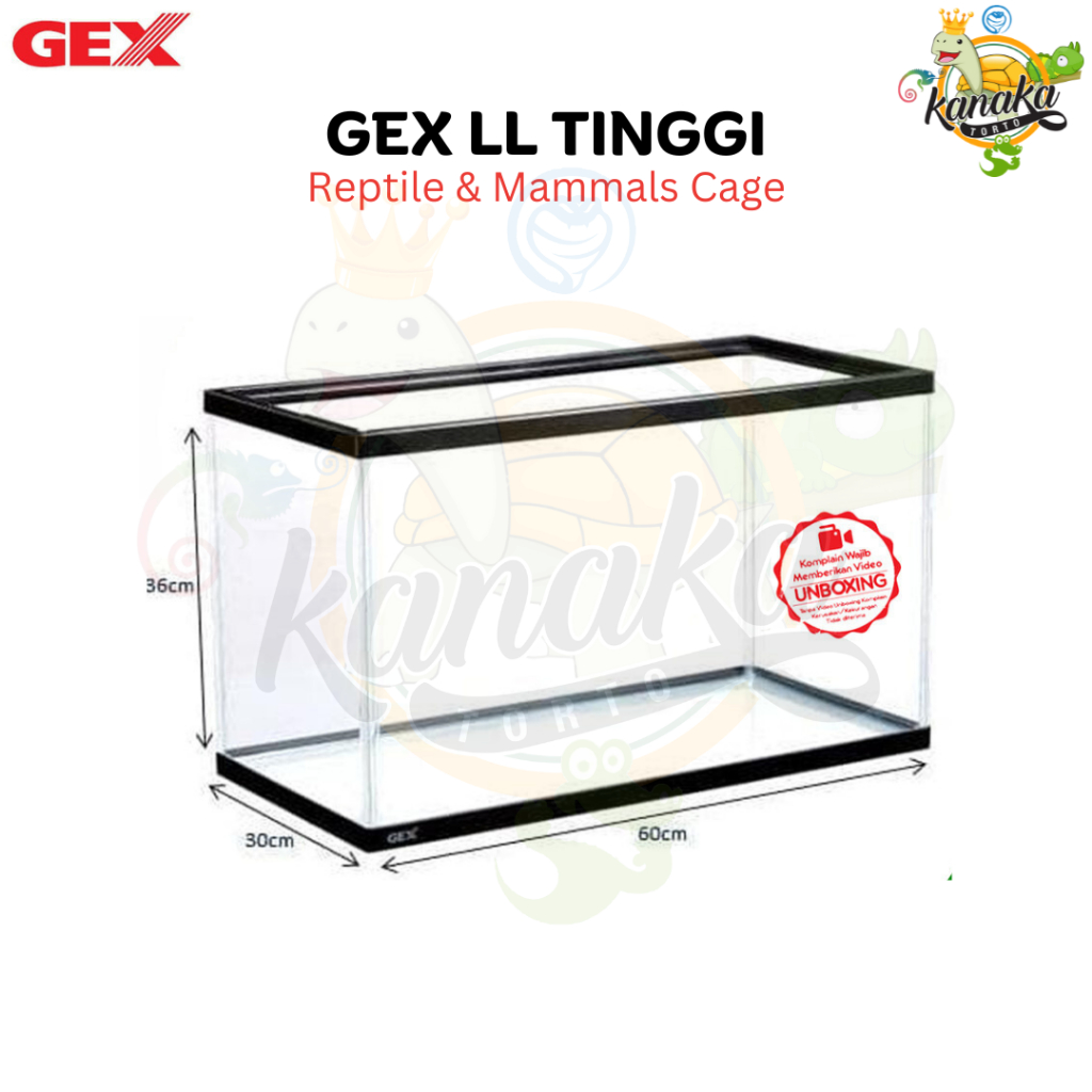 Jual GEX Reptil LL TINGGI Aquarium Kandang Kadal Bearded Dragon Kura Air RES Gecko | Shopee ...