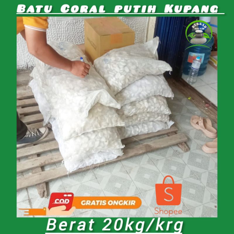Jual batu Coral putih Kupang isi 20kg/krg batu hias batu taman | Shopee ...