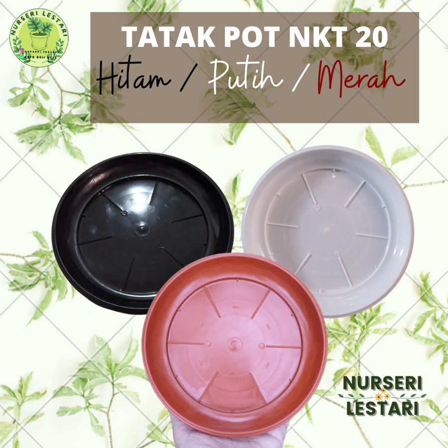 Jual Tatak Pot NKT 20 Untuk Pot Diameter 20cm HITAM/MERAH/PUTIH | Shopee Indonesia