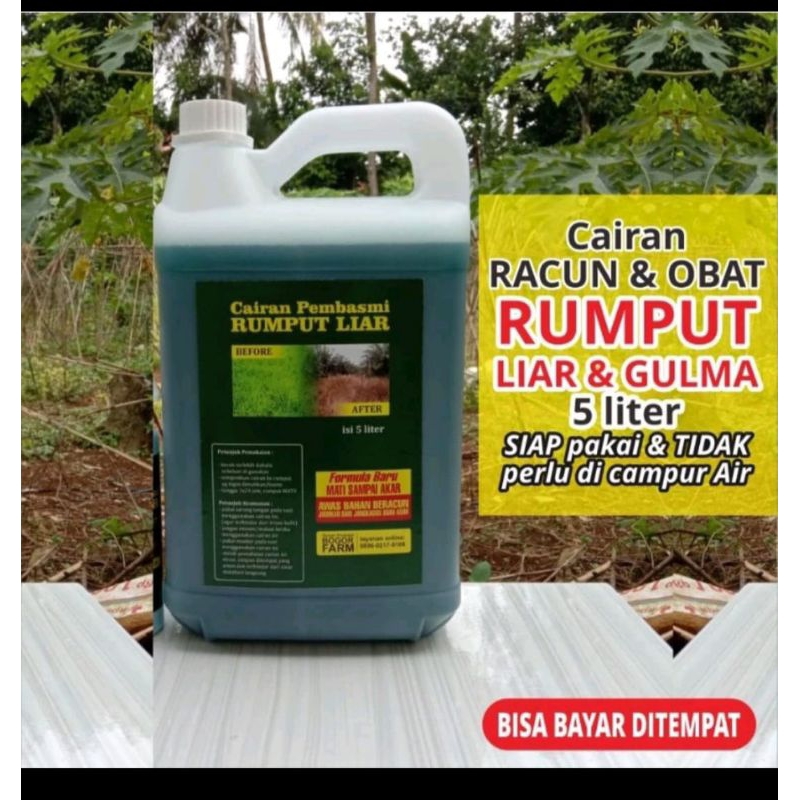 Jual cairan racun rumput( isi 5 liter ) | Shopee Indonesia