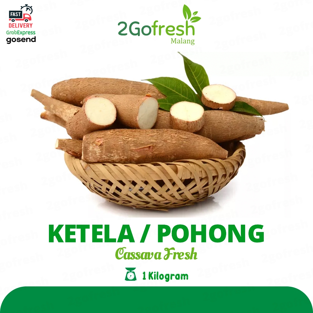 Jual Ketela / Pohong / Cassava Fresh - Sayur Sayuran | Shopee Indonesia