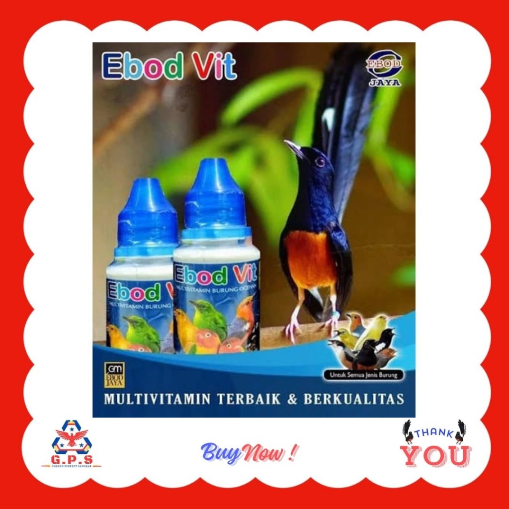 Jual Vitamin burung Suplemen Burung ebod vit 30ml Obat Burung Ebod ...
