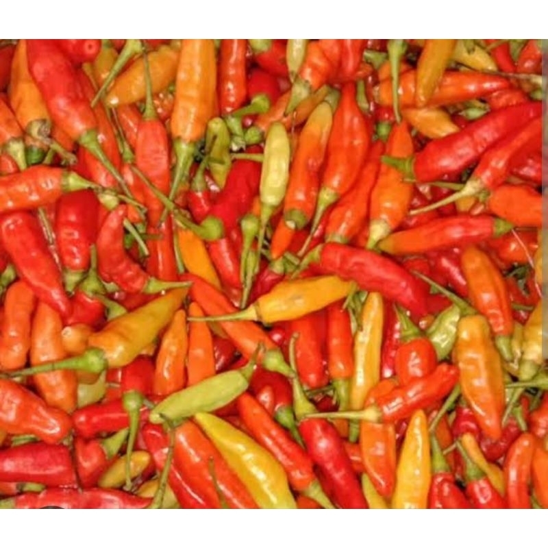 Jual Cabai Rawit Merah (100gram) | Shopee Indonesia