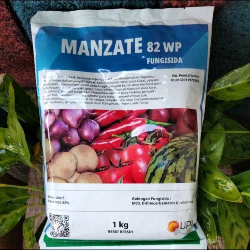 Jual Manzate 82 WP (1kg) | Shopee Indonesia