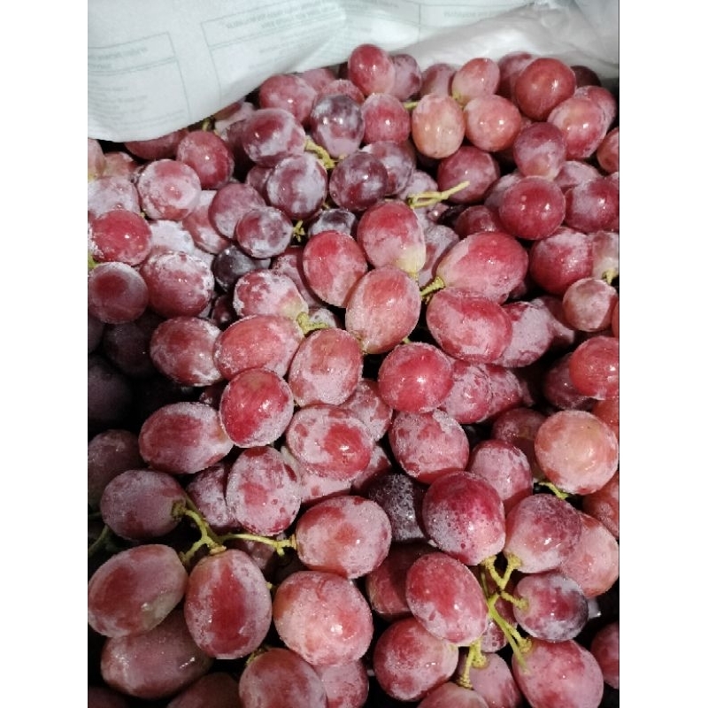 Jual Anggur merah (500 Gram) | Shopee Indonesia