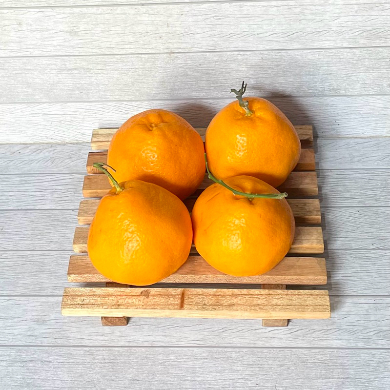 Jual JERUK DEKOPON PAPAGAN CHUN JIAN SUMO MANDARIN | Shopee Indonesia