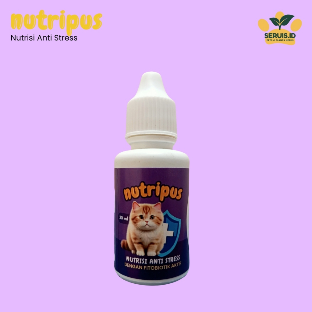 Jual Vitamin herbal Kucing Nutrisi anti stress dengan Fitobiotik Aktif ...