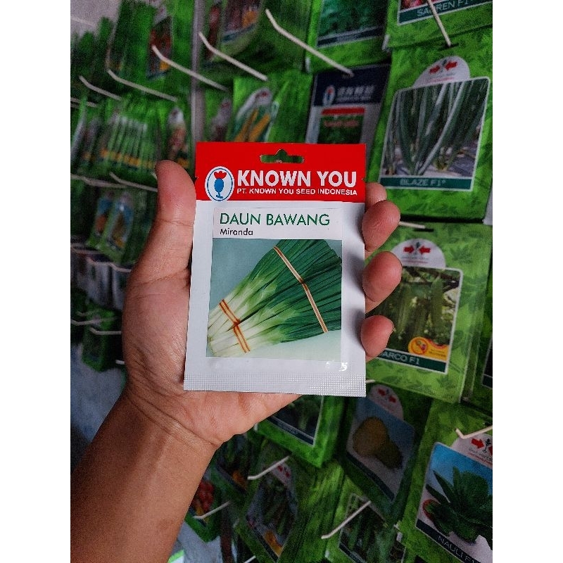 Jual Benih daun bawang MIRANDA isi 5gr | Shopee Indonesia