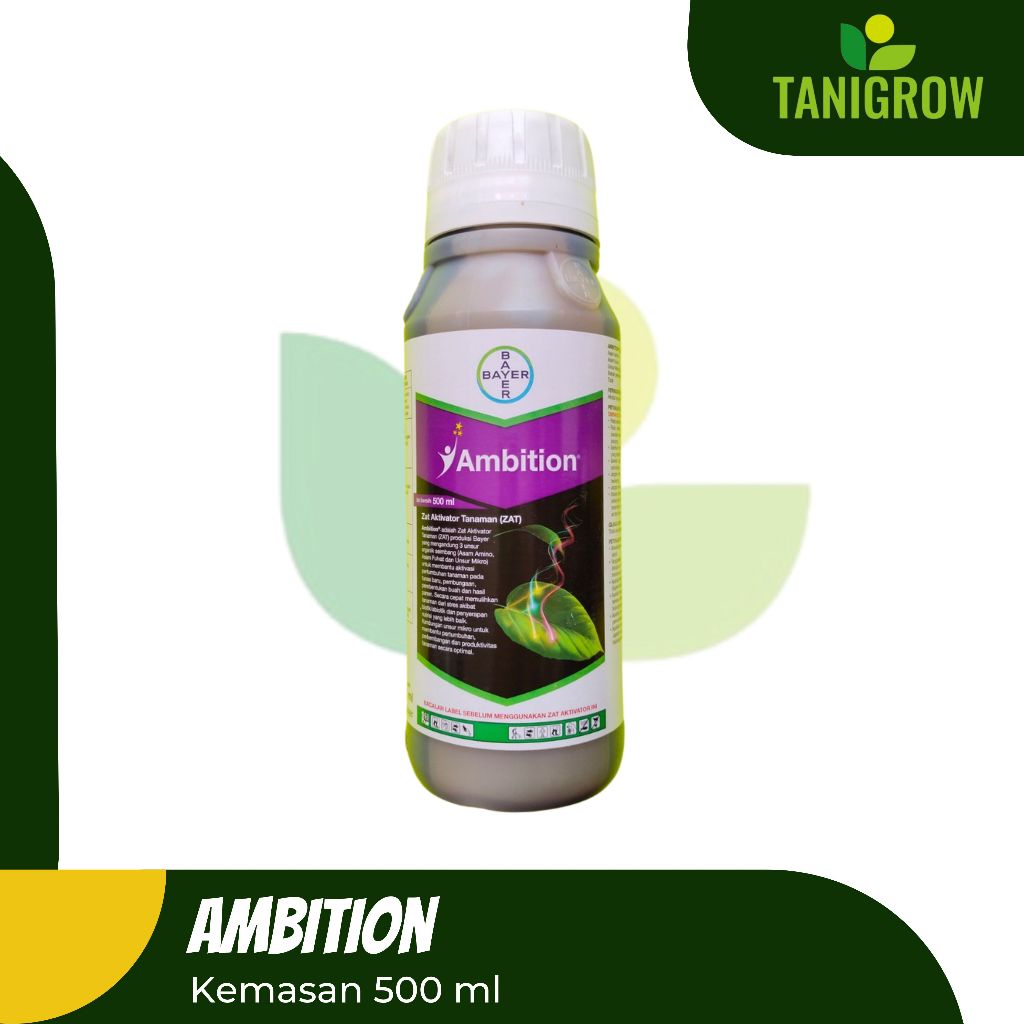 Jual AMBITION 500 ml | Shopee Indonesia