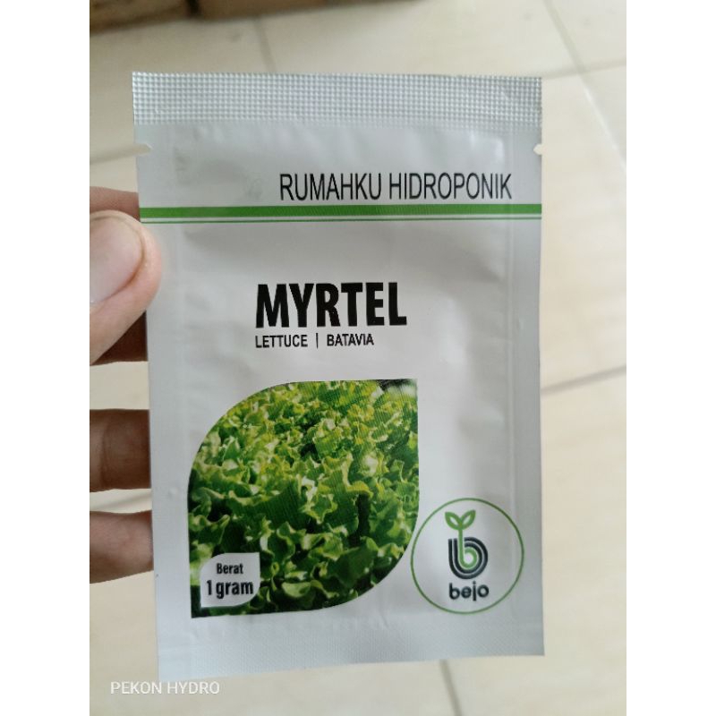 Jual Benih SELADA MYRTEL 1 gram BEJO SEED | Shopee Indonesia
